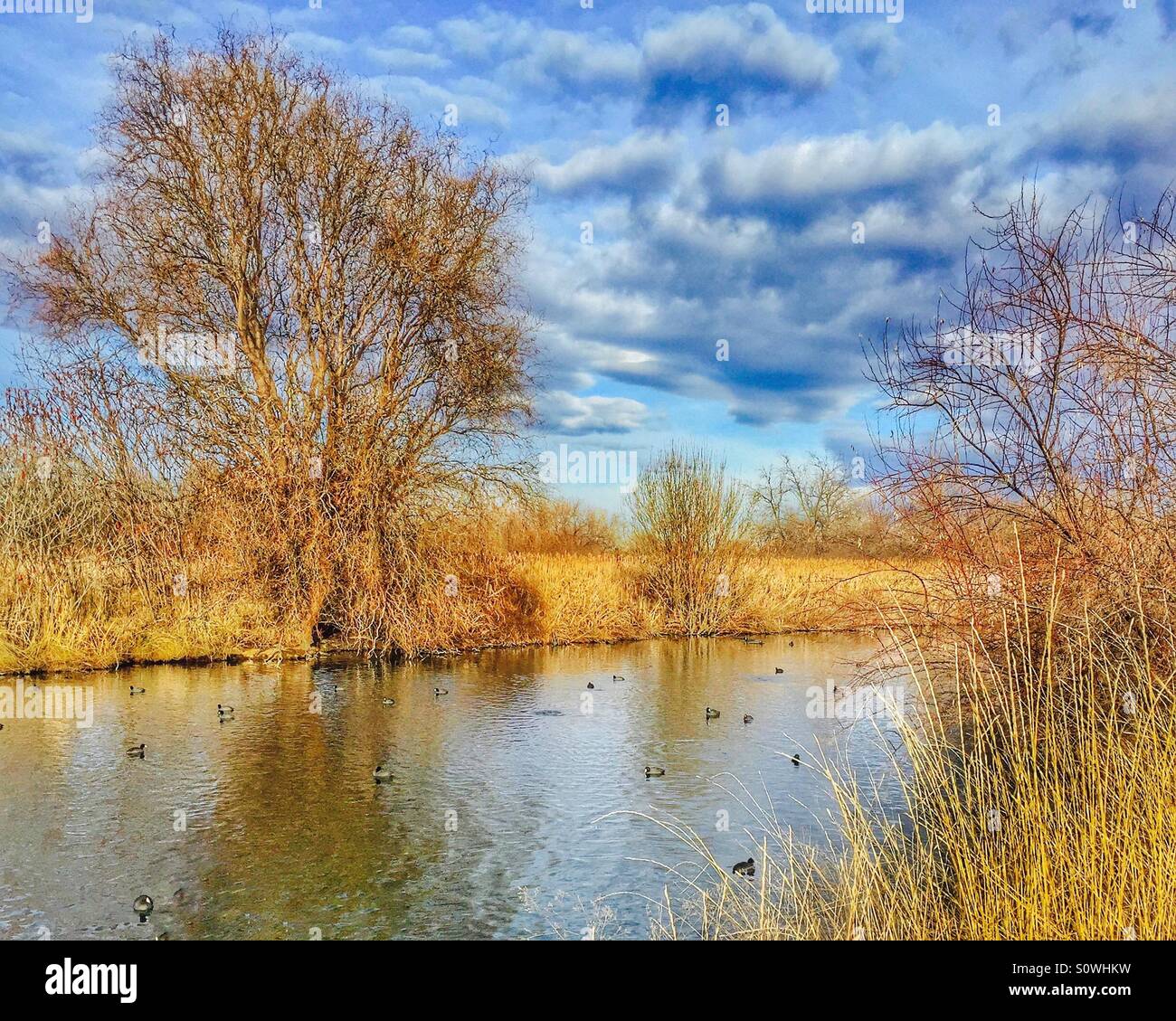 Wilson Springs High Resolution Stock Photography and Images - Alamy