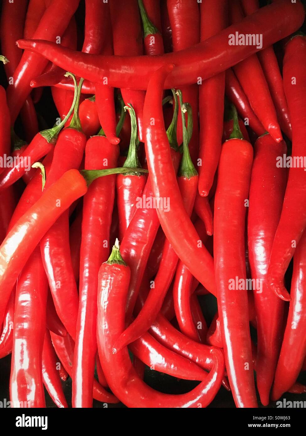 Chillier hi-res stock photography and images - Alamy