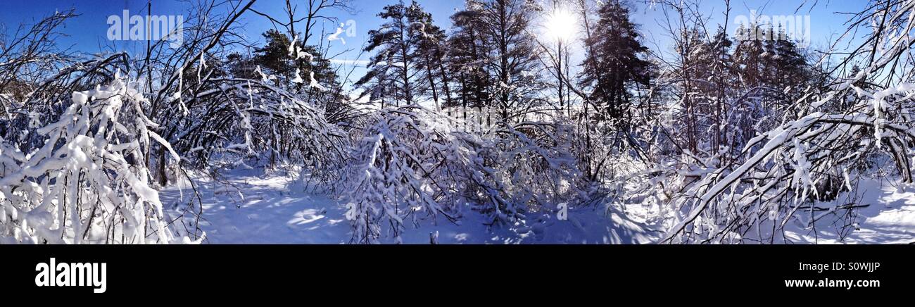 Snowscape hi-res stock photography and images - Alamy