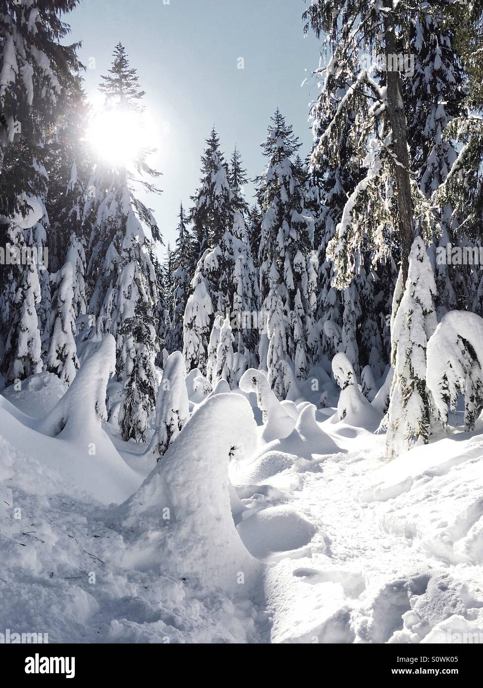 Trees turn into snow creatures Stock Photo - Alamy