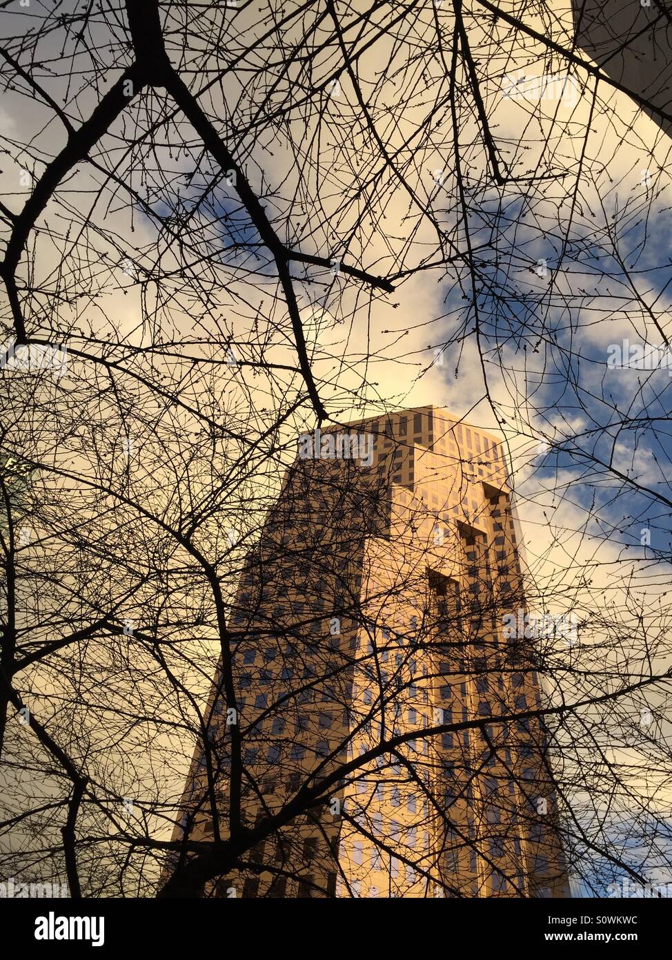 Building and trees hi-res stock photography and images - Alamy