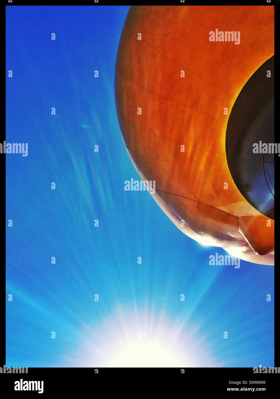 Giant peach in sunlight Stock Photo - Alamy