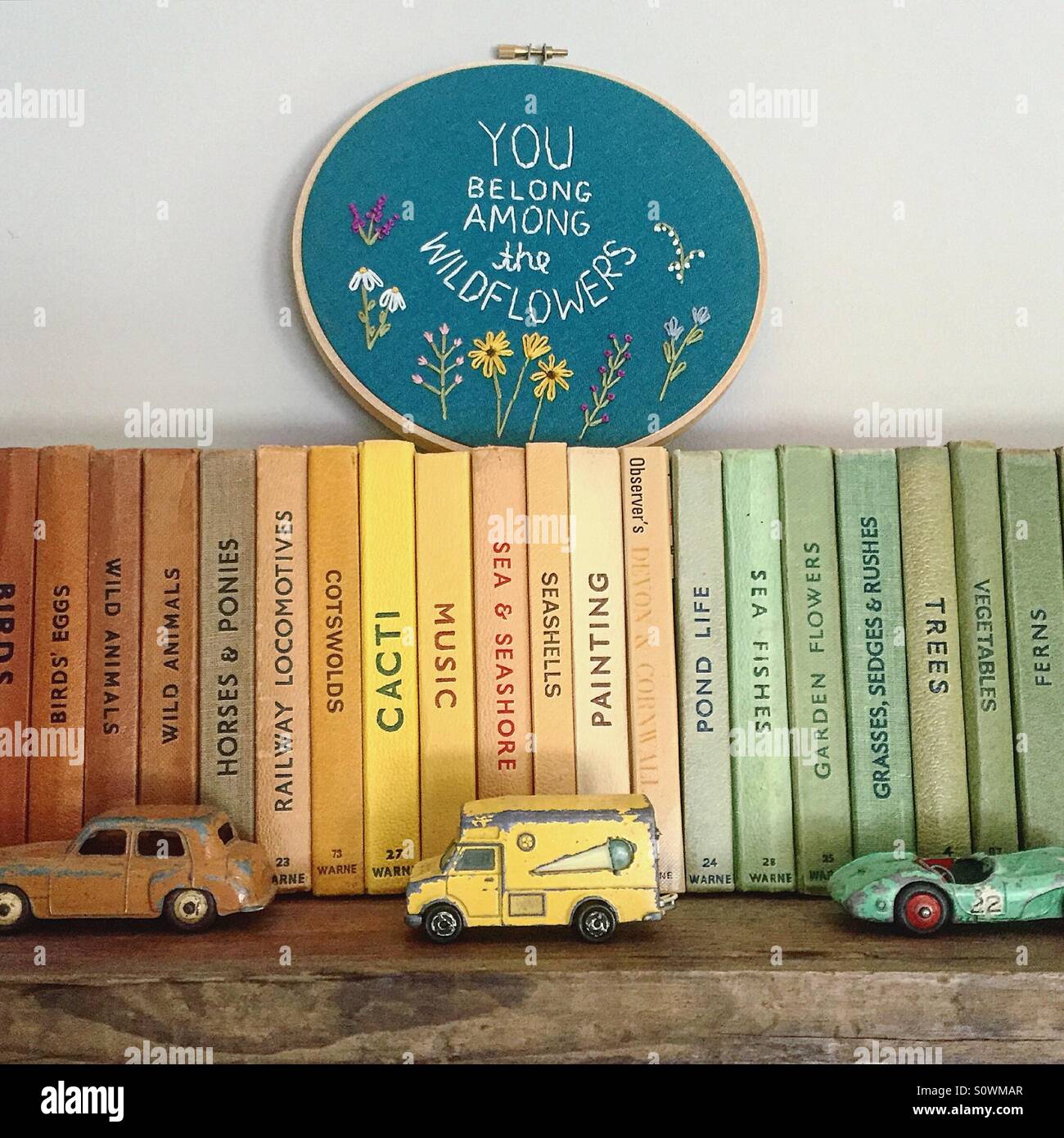 Rainbow book shelf hi-res stock photography and images - Alamy