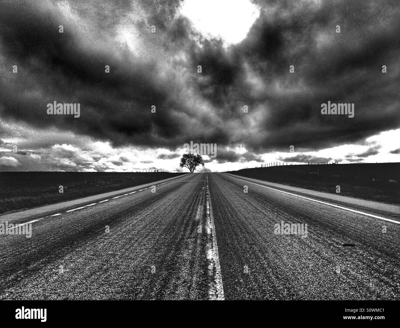 Black and white image of lone tree on a lonely Nebraska road Stock ...