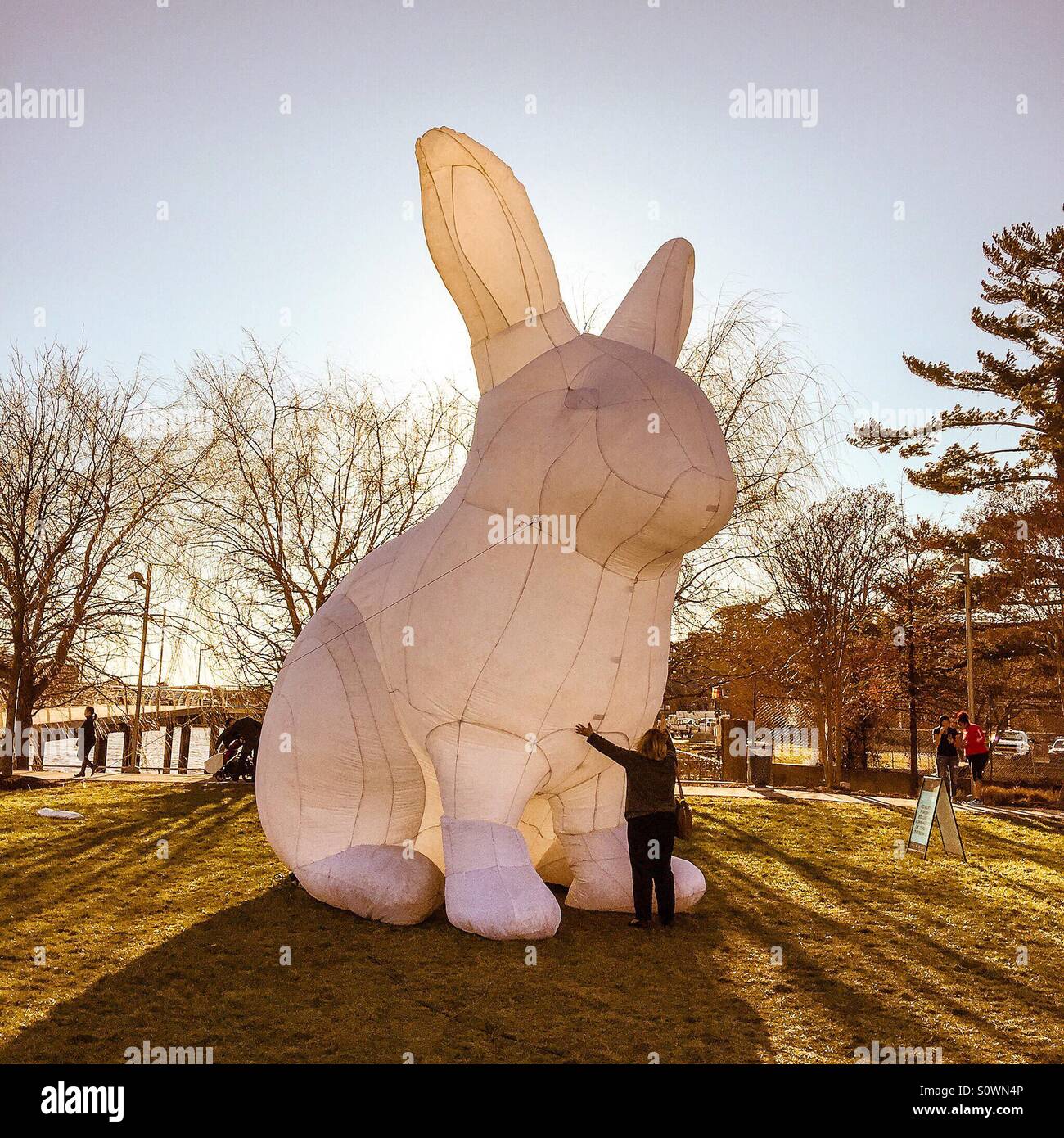 Bunny display hi-res stock photography and images - Alamy