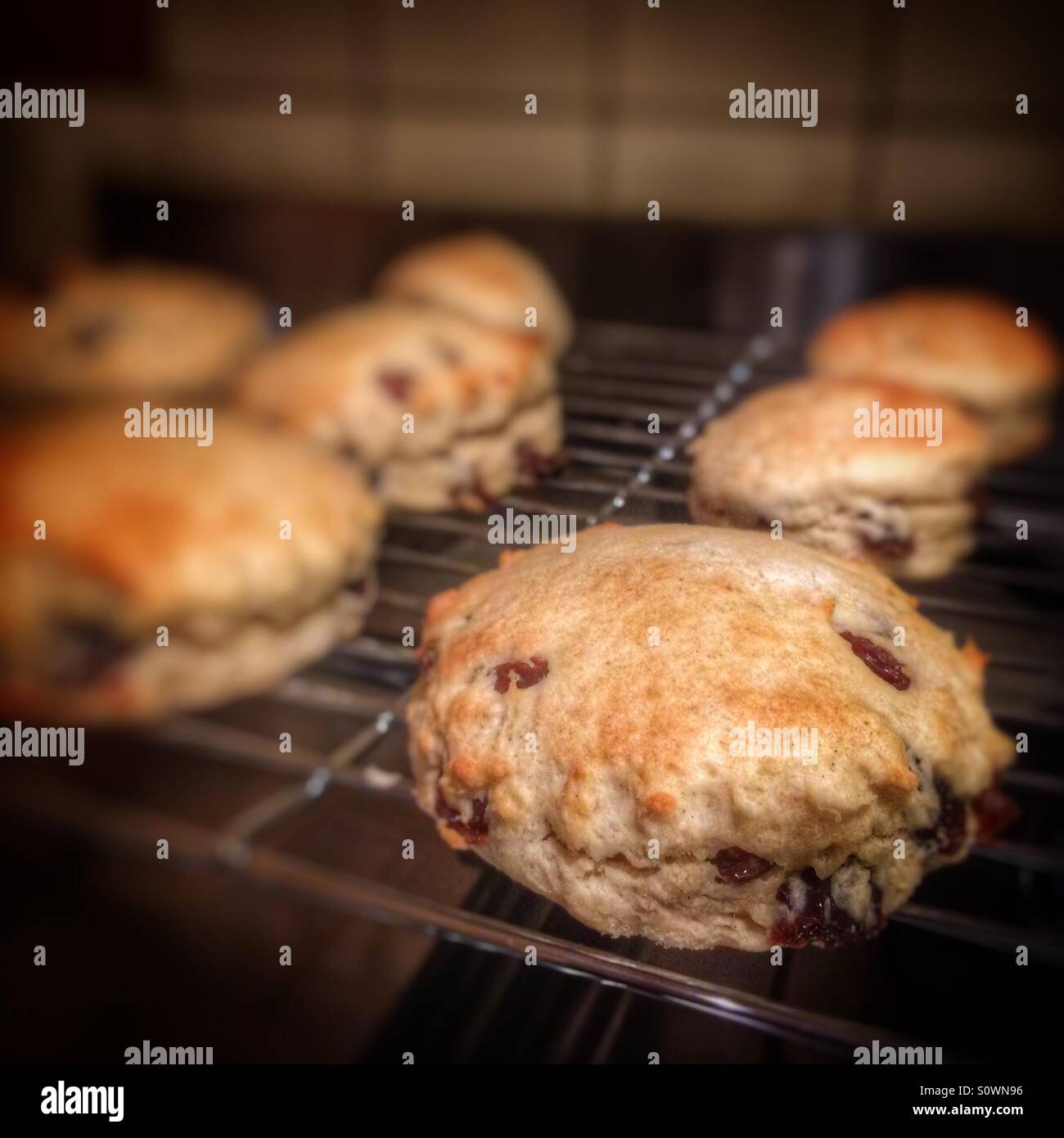 Scones on a tray hi-res stock photography and images - Alamy