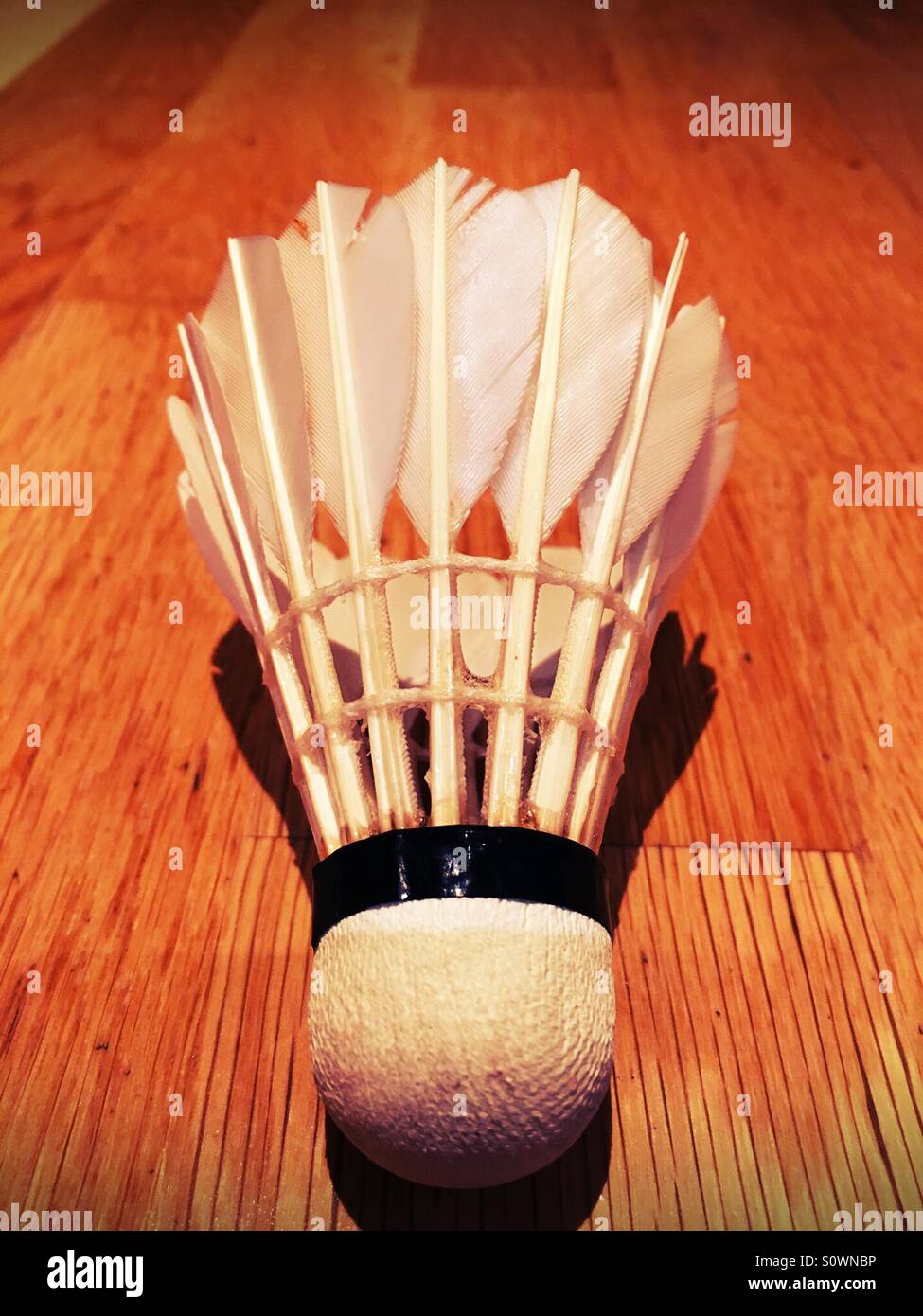 Shuttlecock with feathers hi-res stock photography and images - Alamy