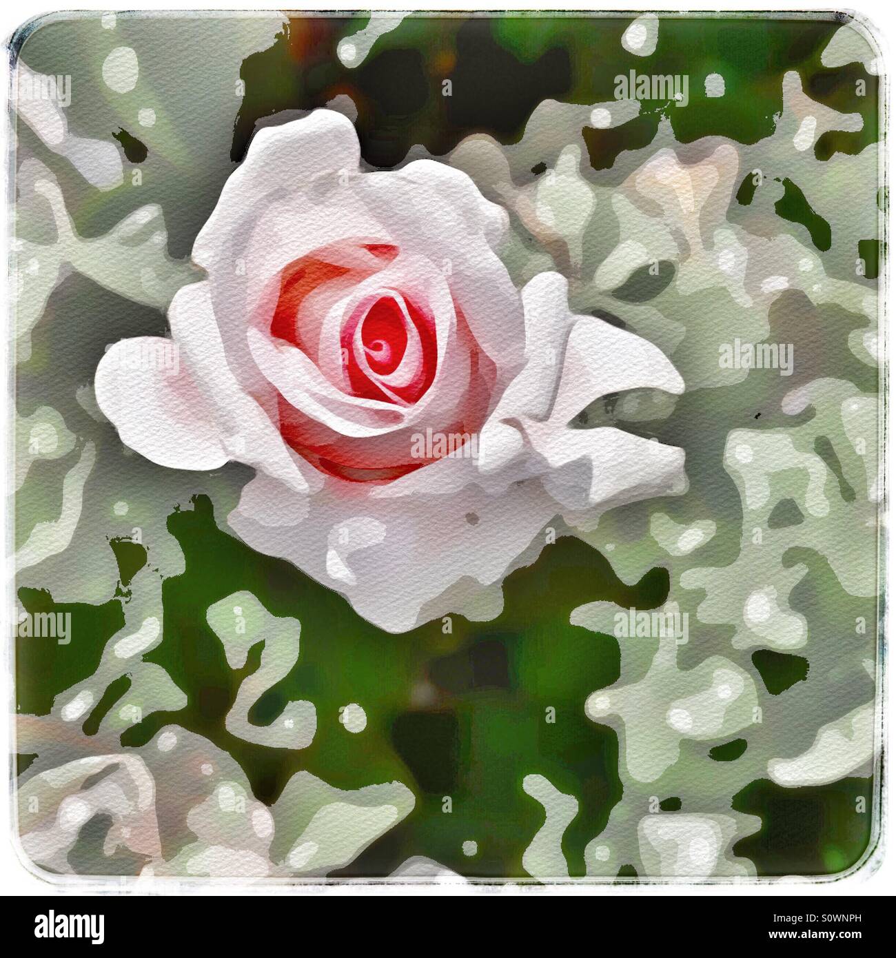 Stylized rose hi-res stock photography and images - Alamy