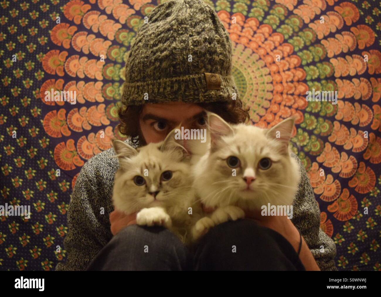 Caturday hi-res stock photography and images - Alamy