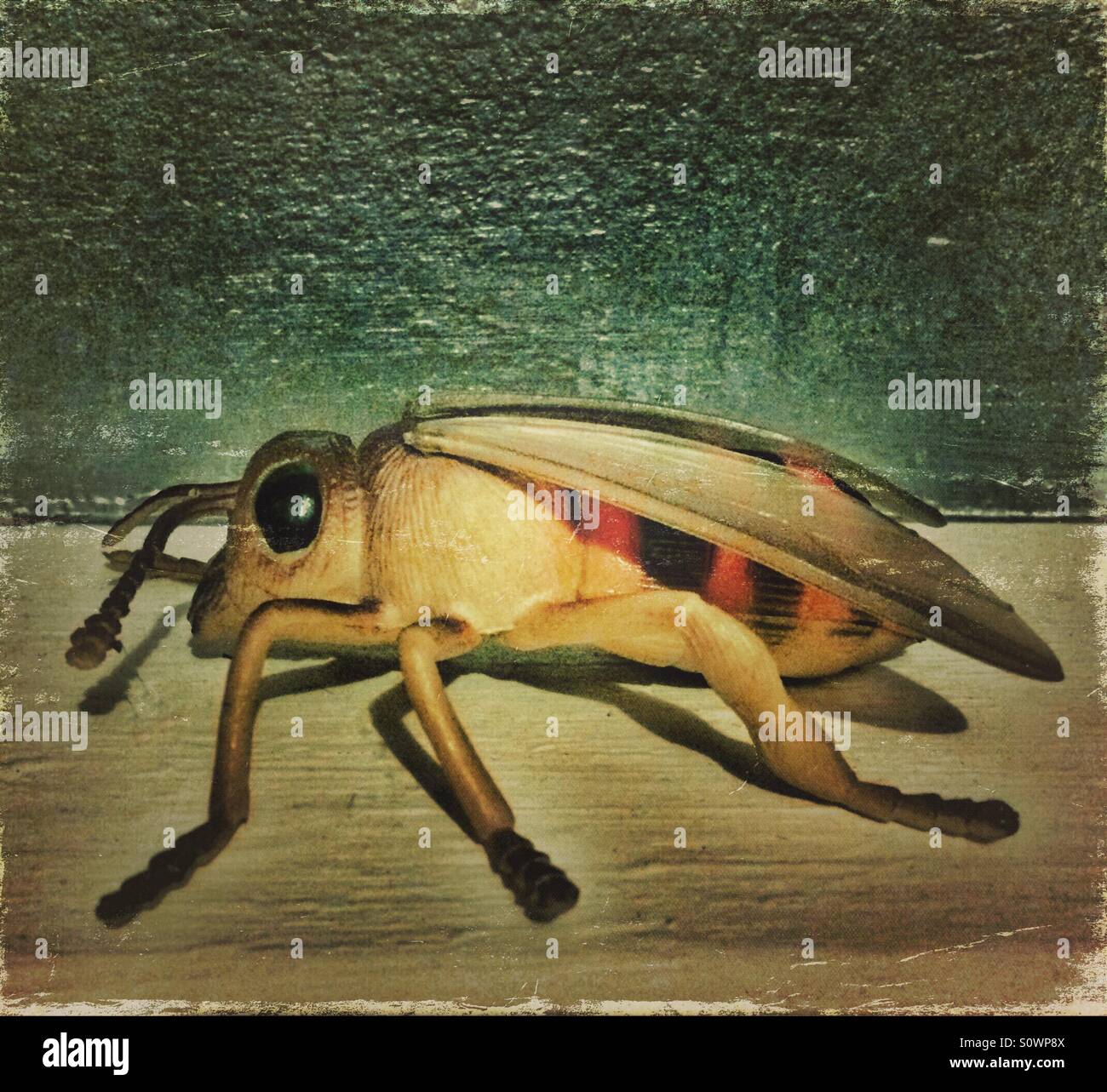 Fake bee hi-res stock photography and images - Alamy