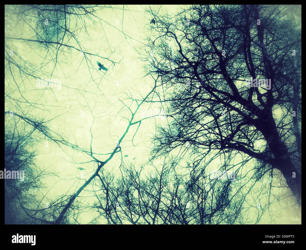 Air trees hi-res stock photography and images - Alamy