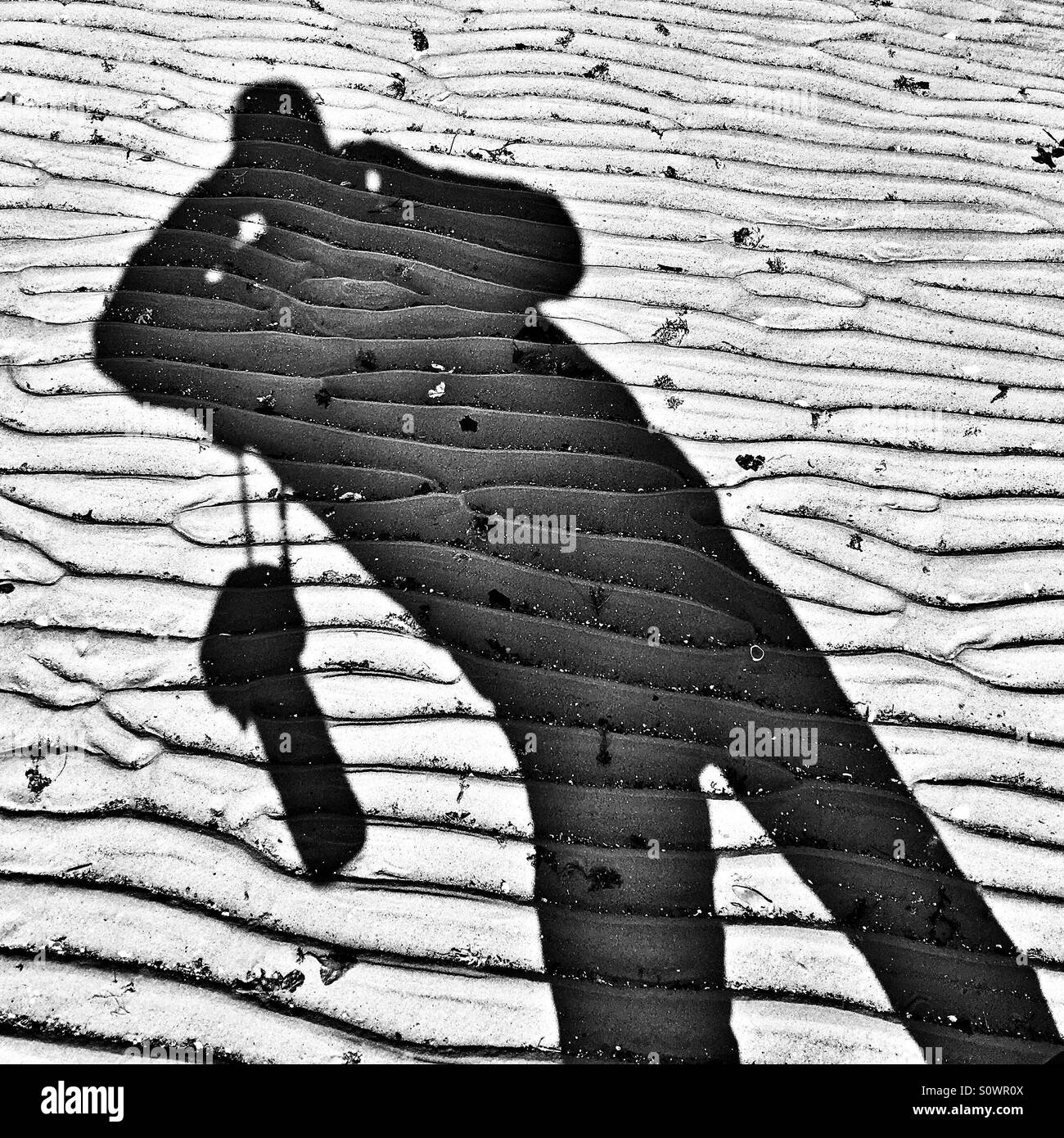 Self Portrait Shadow High Resolution Stock Photography and Images - Alamy