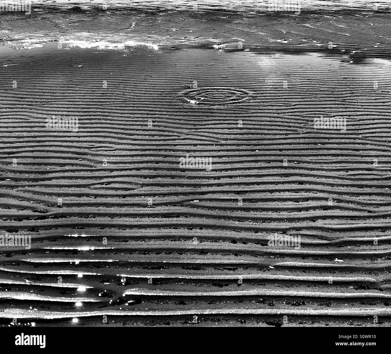 Pool water texture Black and White Stock Photos & Images - Alamy