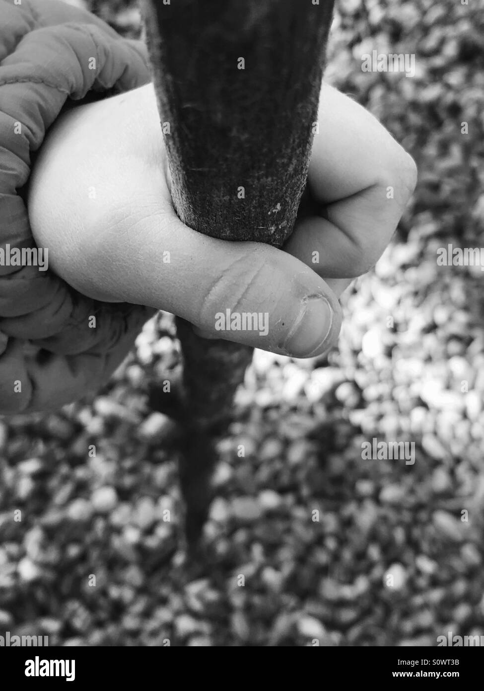 Hand on a walking stick hi-res stock photography and images - Alamy