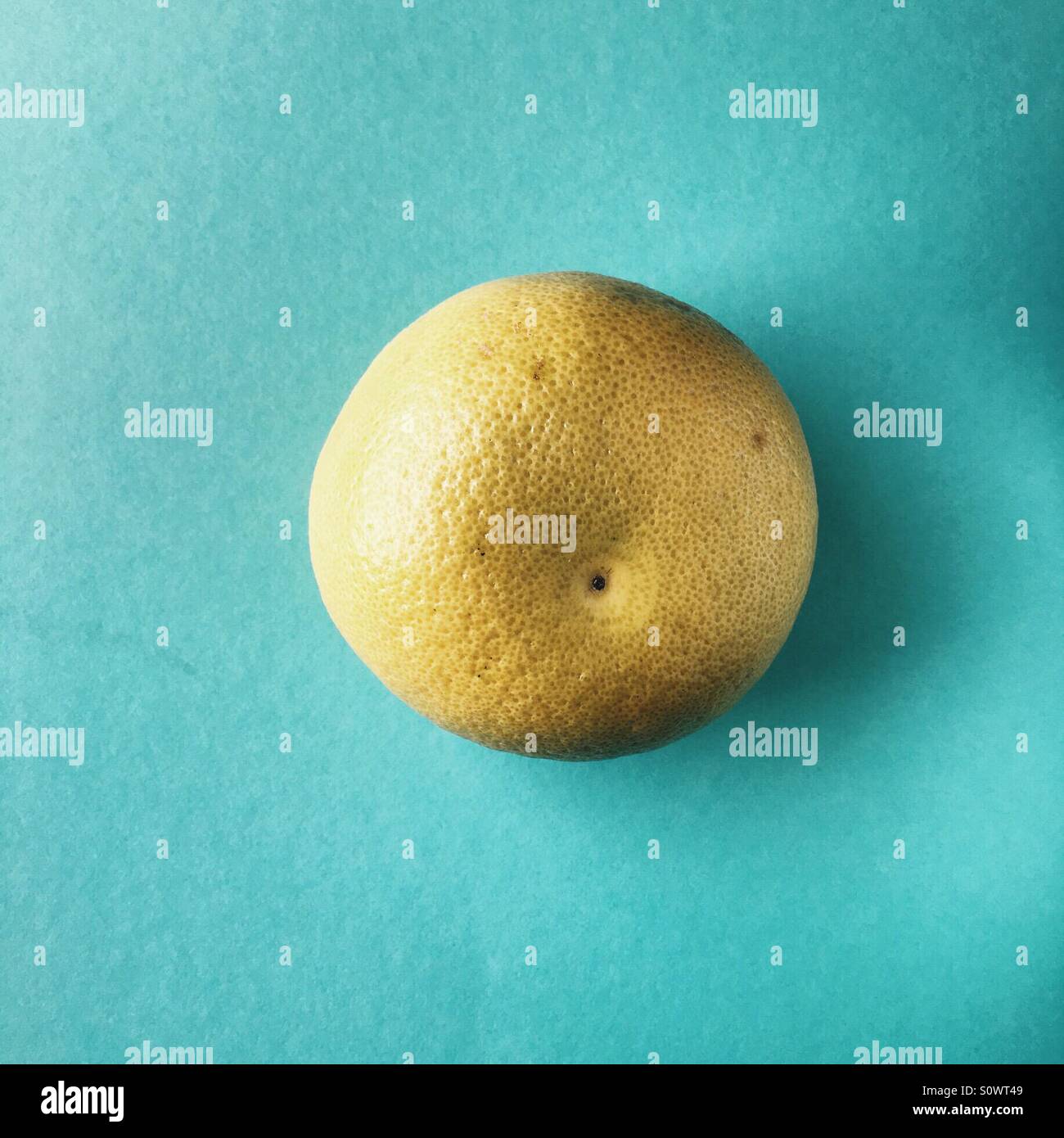 Sweetie hi-res stock photography and images - Alamy