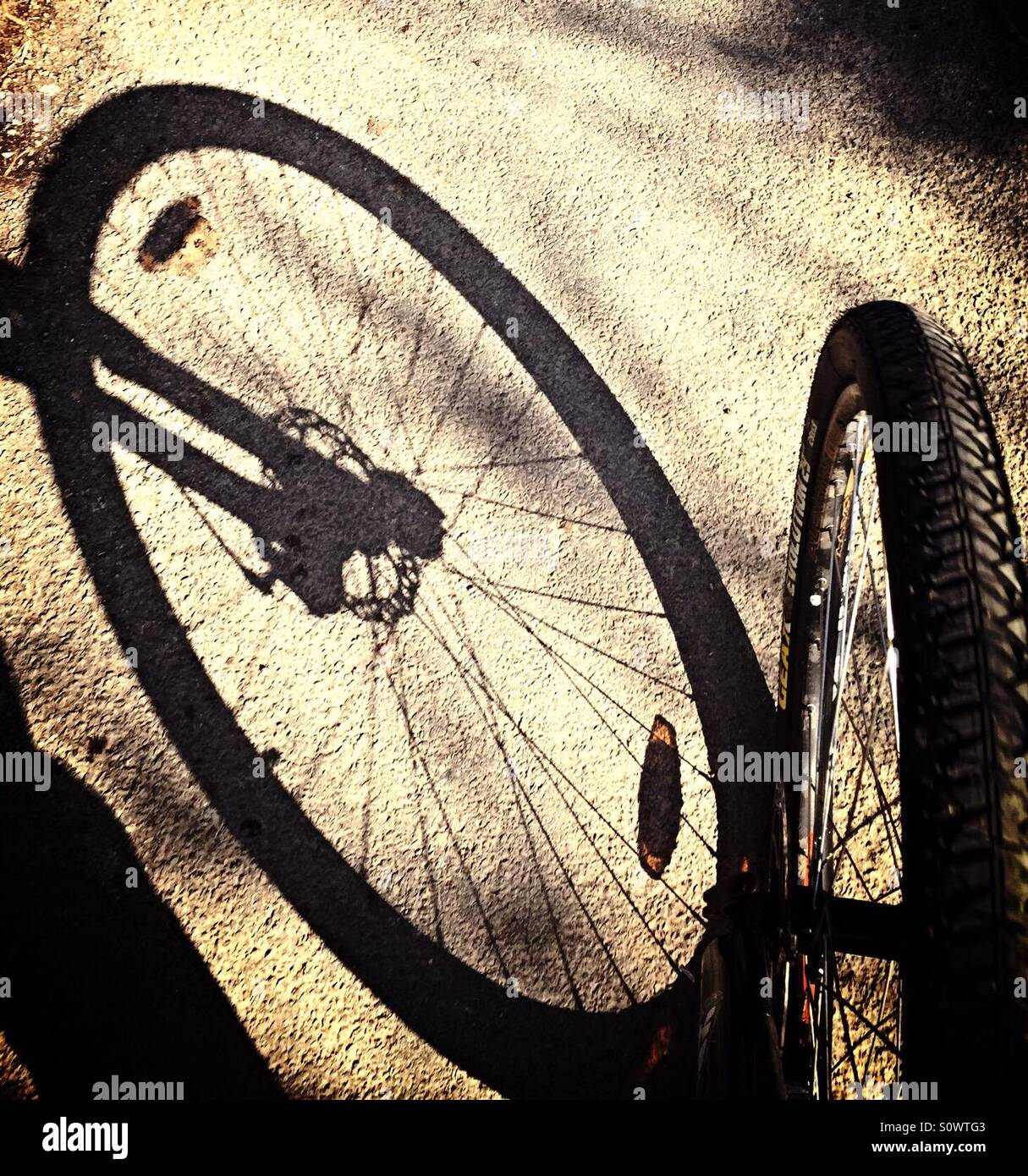 Shadow of bicycle wheel Stock Photo - Alamy