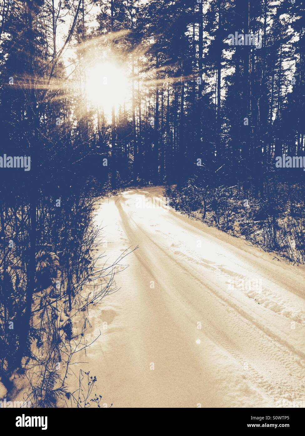 Winter track Sweden Stock Photo - Alamy