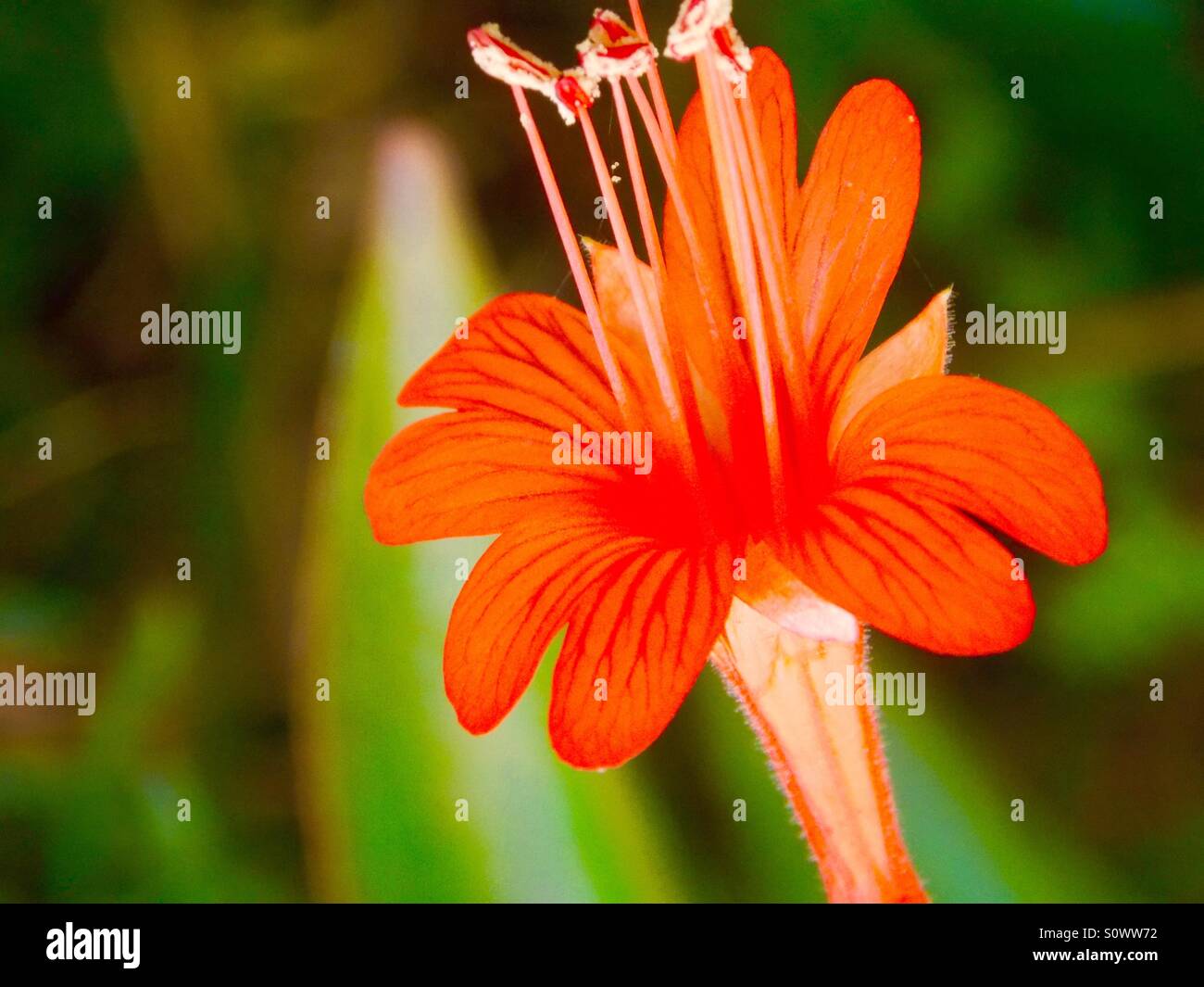 Extraordinary Images Of Nature