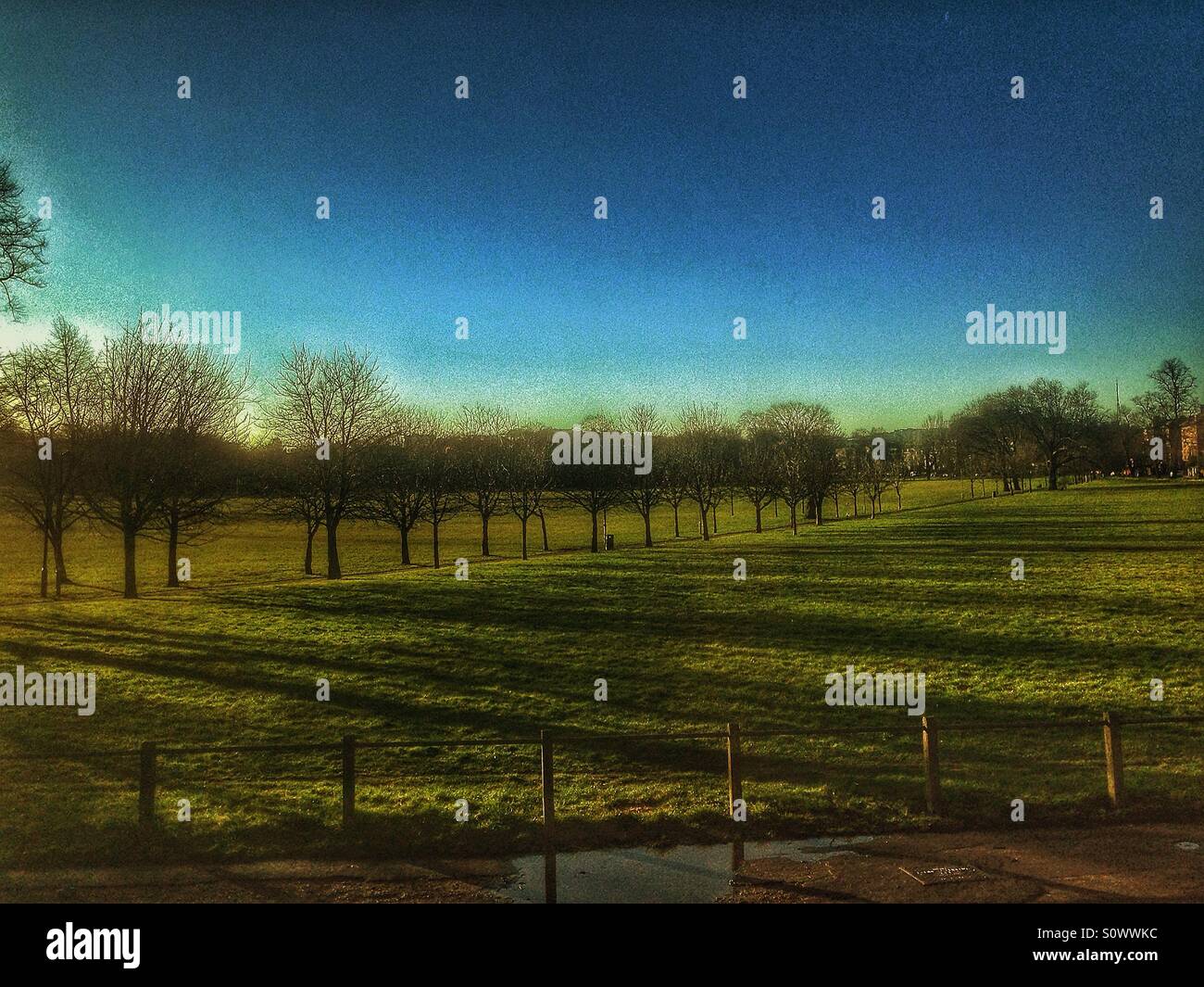 Peckham rye morning Stock Photo - Alamy