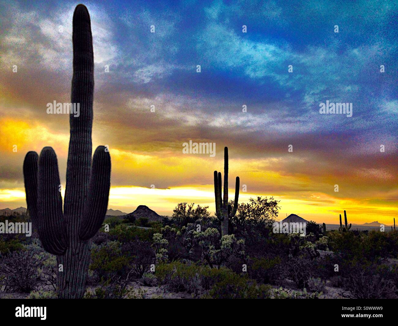 Sunset clouds sonoran desert hi-res stock photography and images - Alamy
