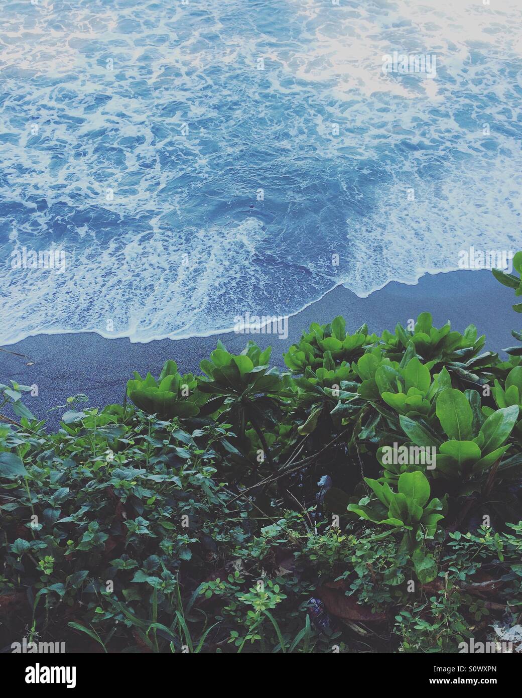 Exotic shoreline hi-res stock photography and images - Alamy