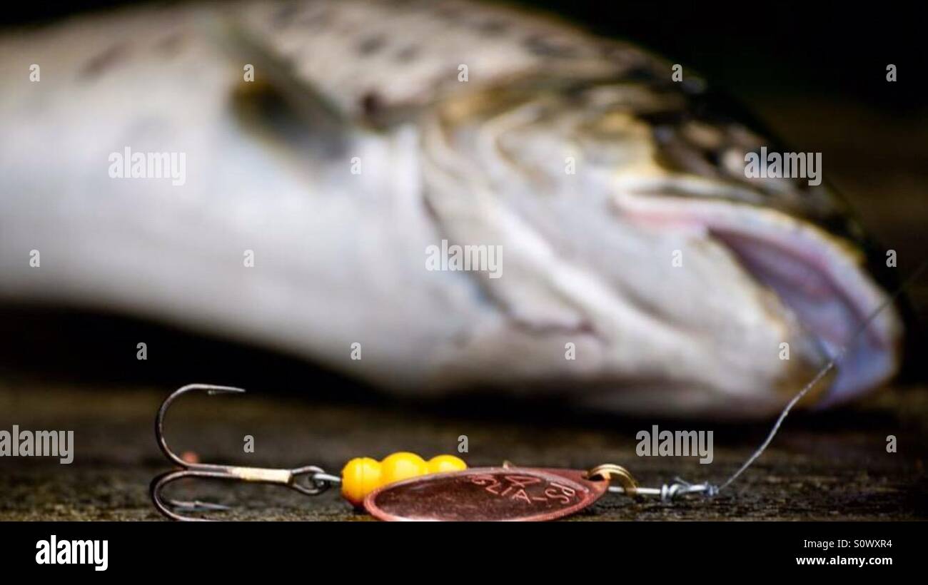 Fiskeri hi-res stock photography and images - Alamy