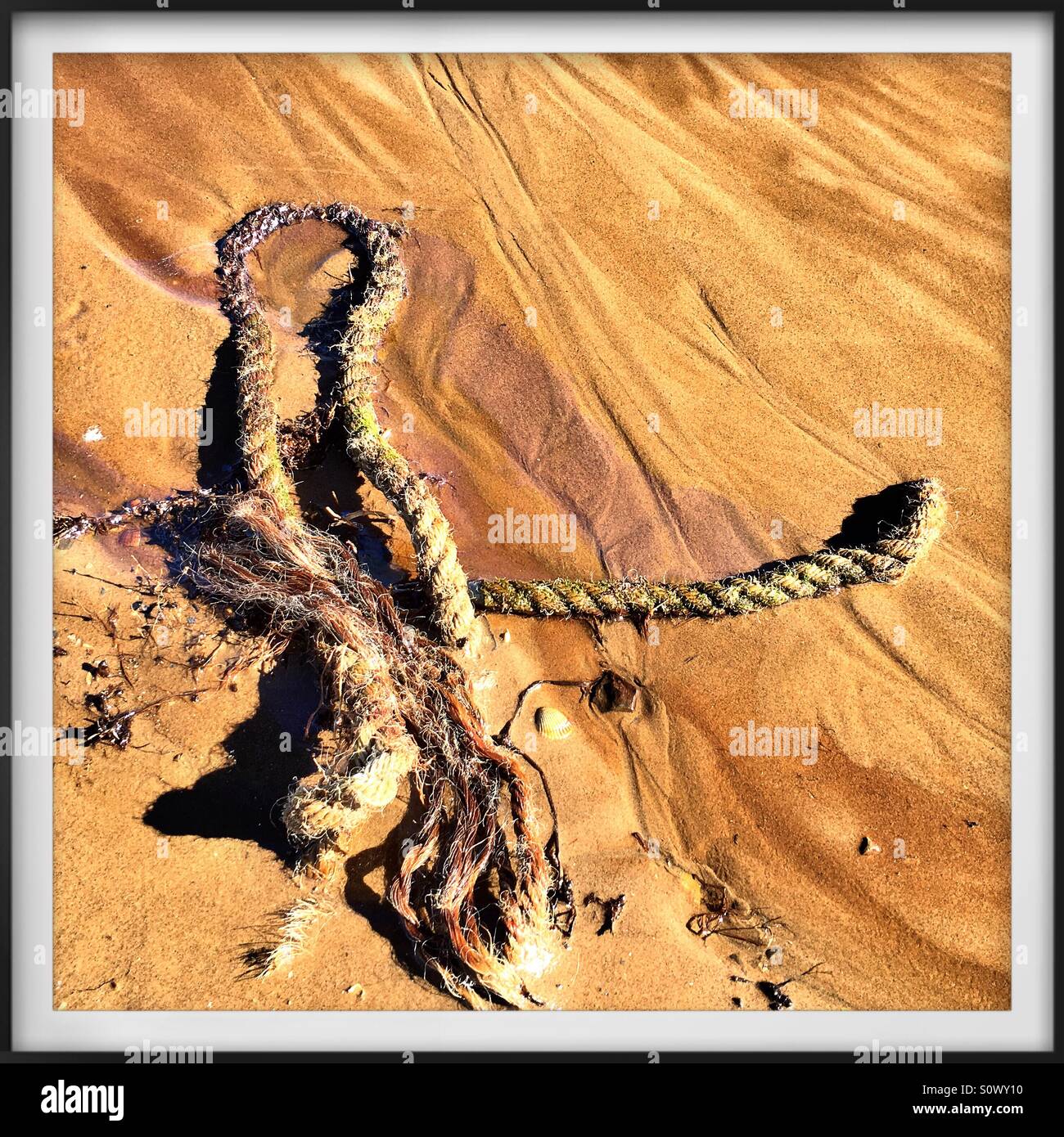 Rope in the sand Stock Photo - Alamy