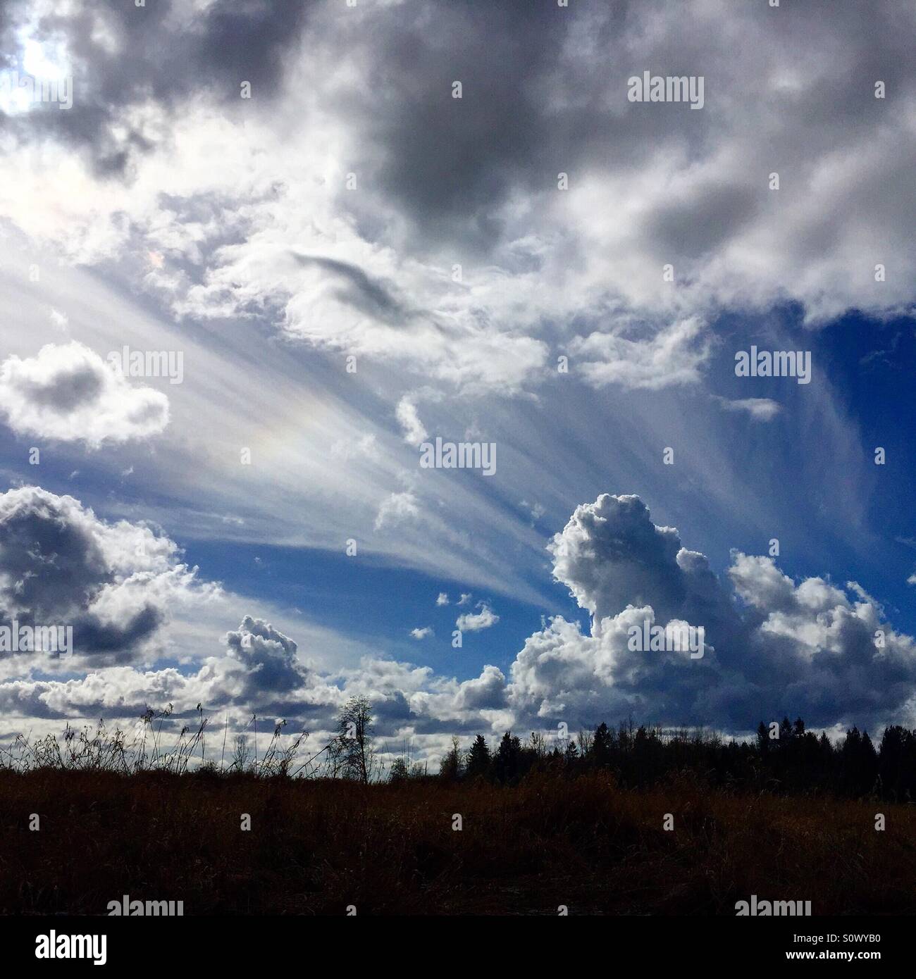 Blue Skyview High Resolution Stock Photography and Images - Alamy