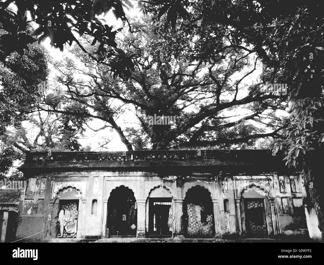 Tree overhead of an old colonial building Stock Photo - Alamy