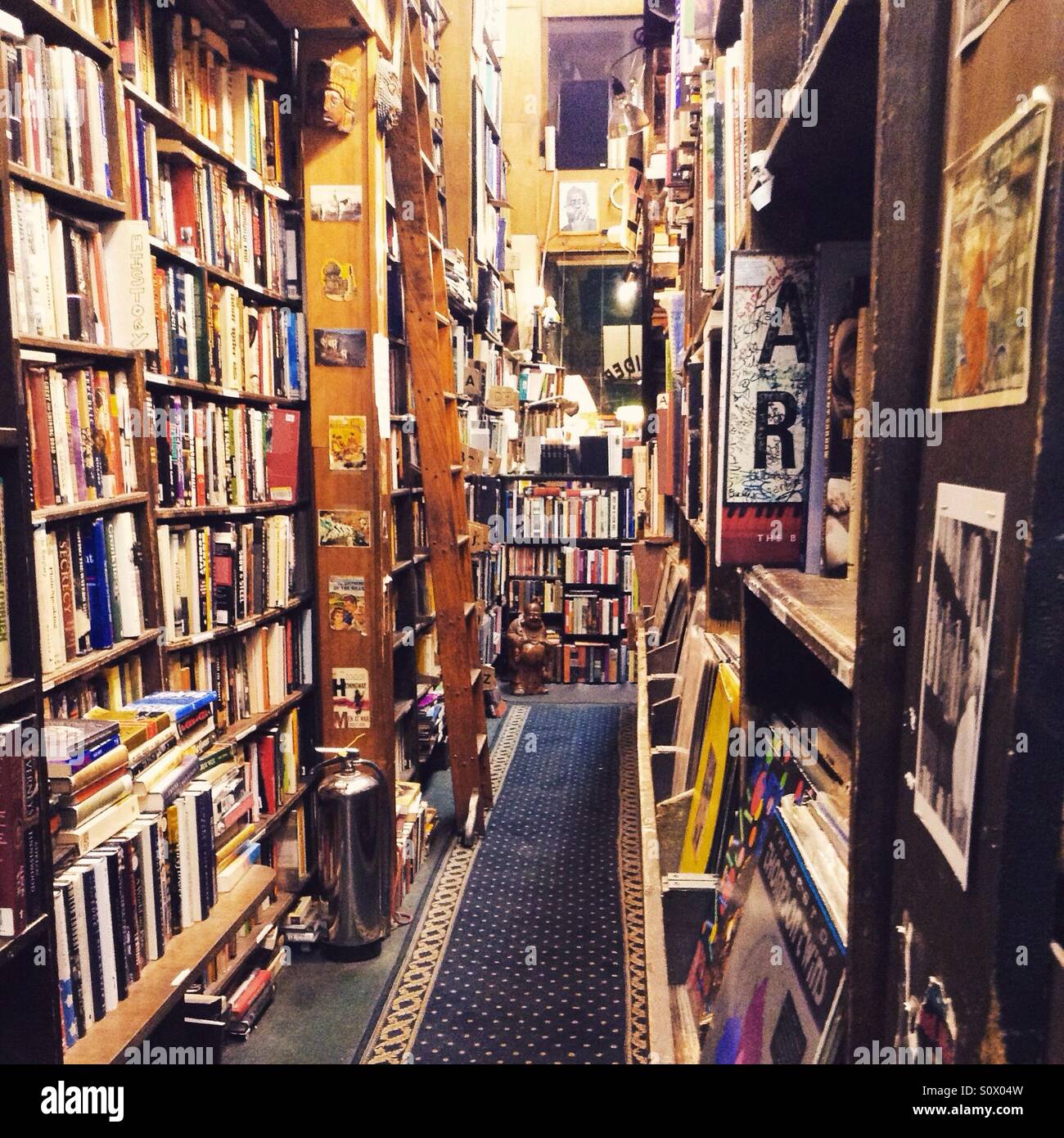 Bookworms paradise hi-res stock photography and images - Alamy