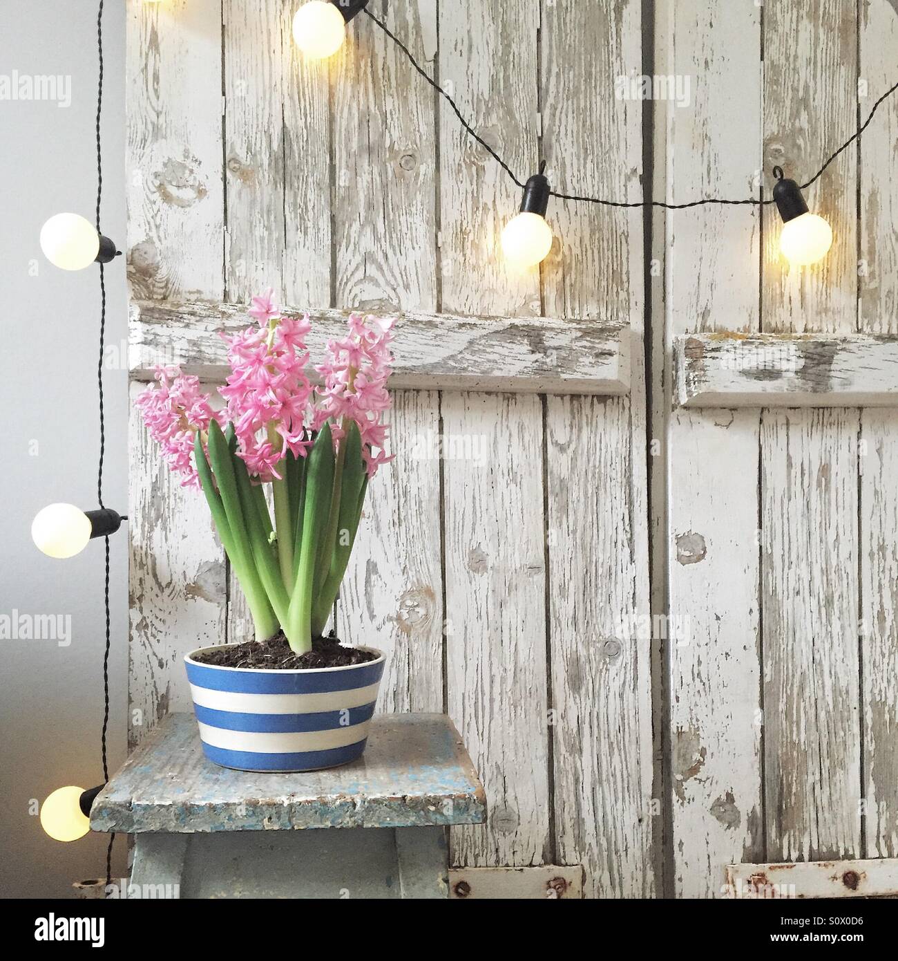 Brightening up a dull day Stock Photo - Alamy