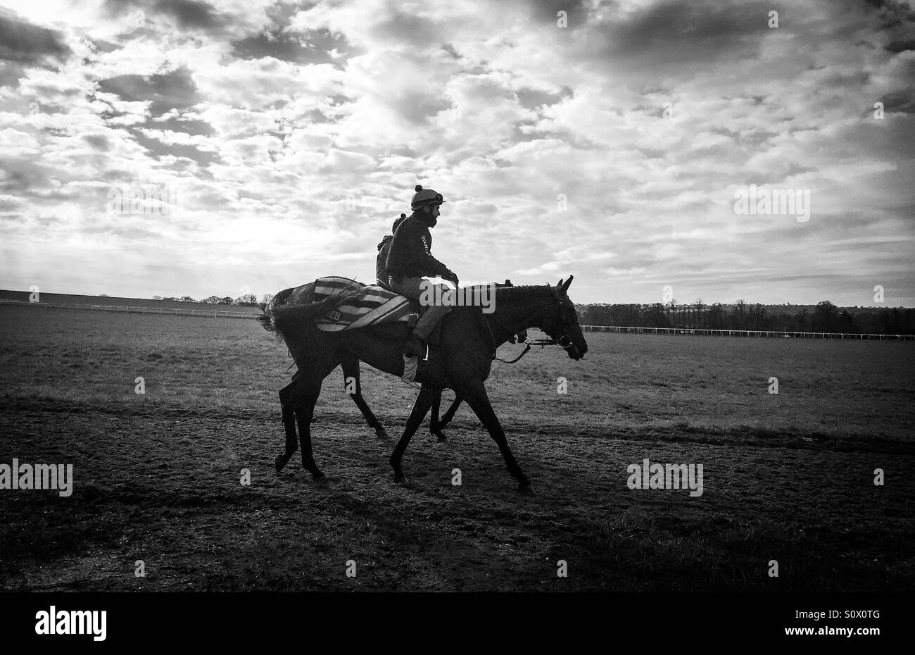 Gallops uk hi-res stock photography and images - Alamy