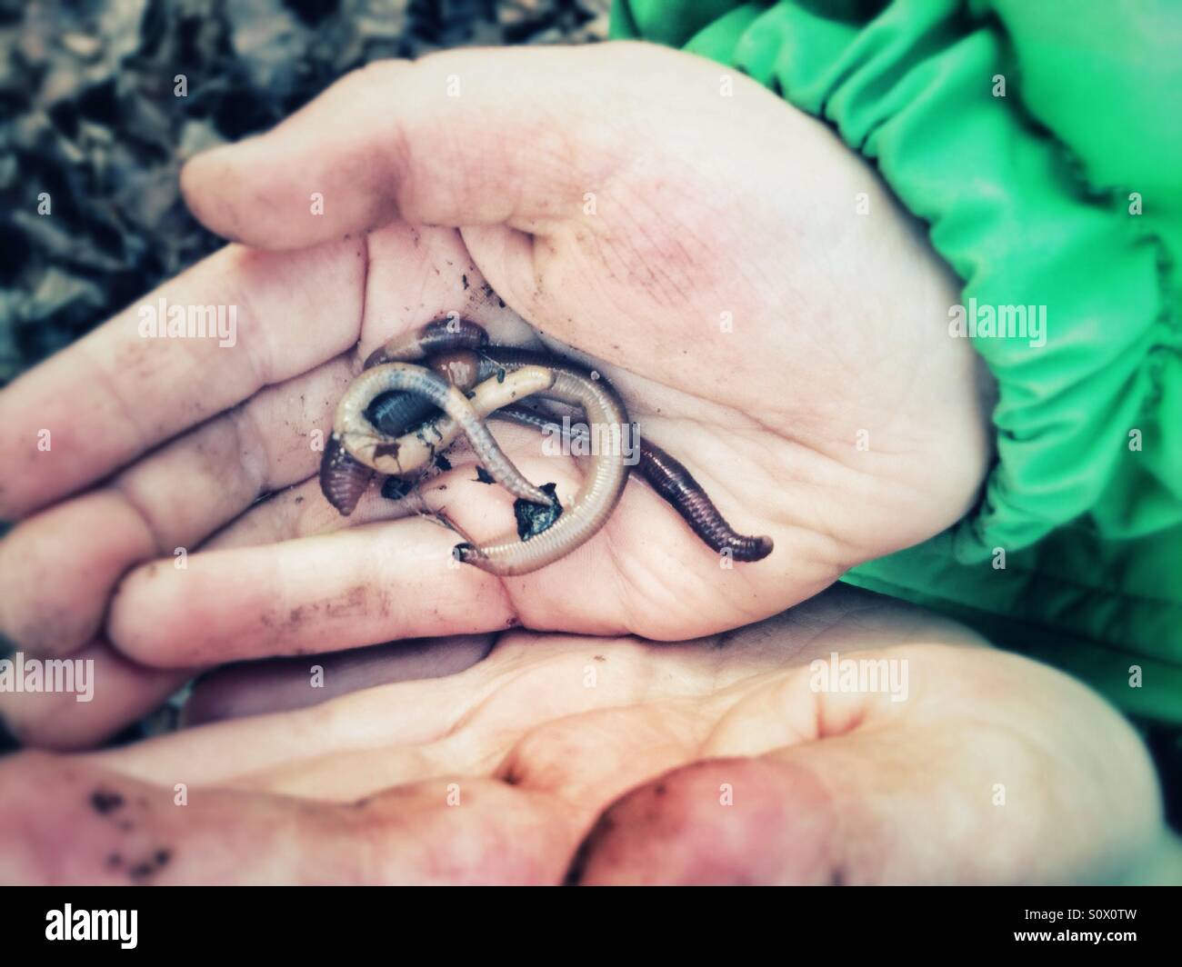 Worm child hand hi-res stock photography and images - Alamy