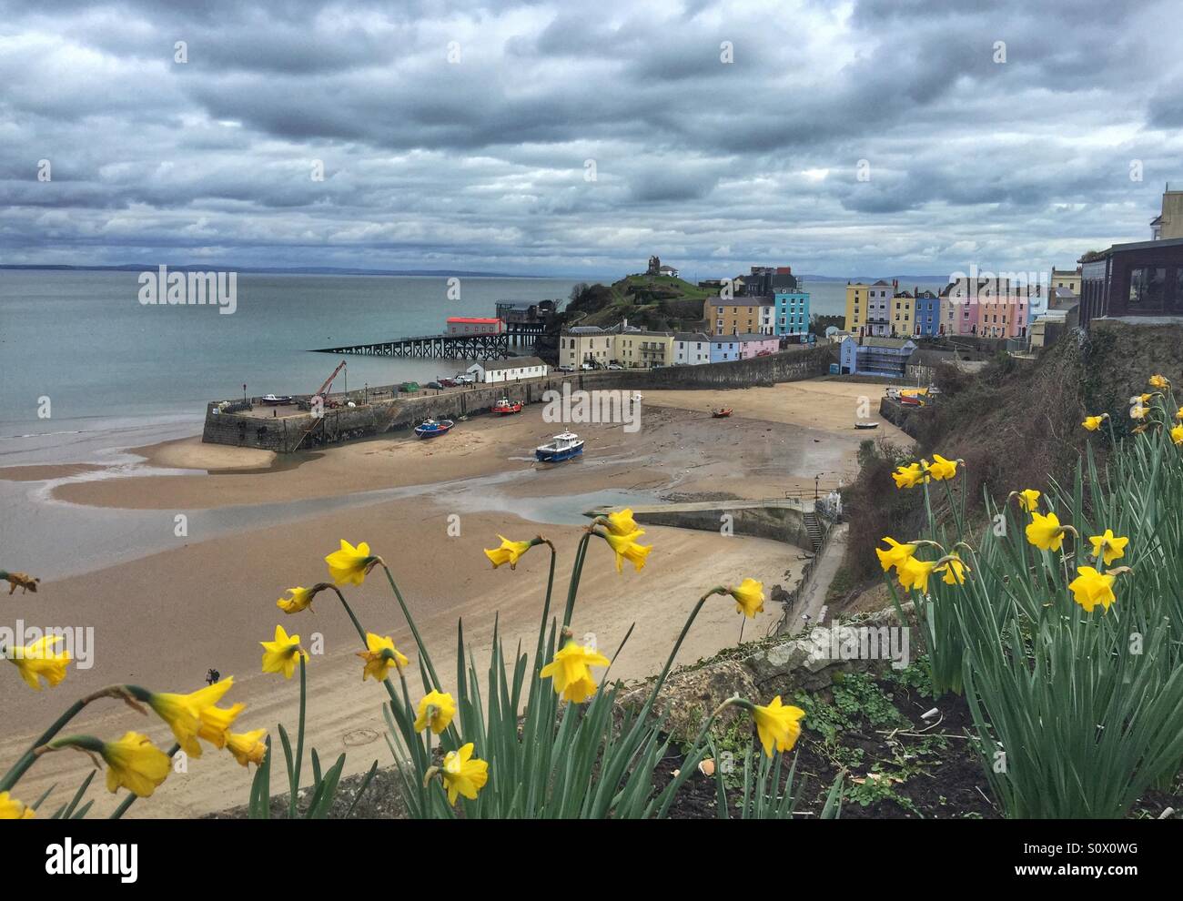 Pembrokeshire tenby spring hi-res stock photography and images - Alamy