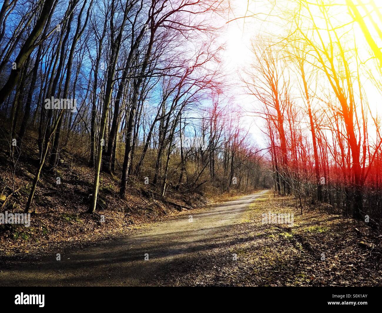 Pathway to paradise Stock Photo - Alamy