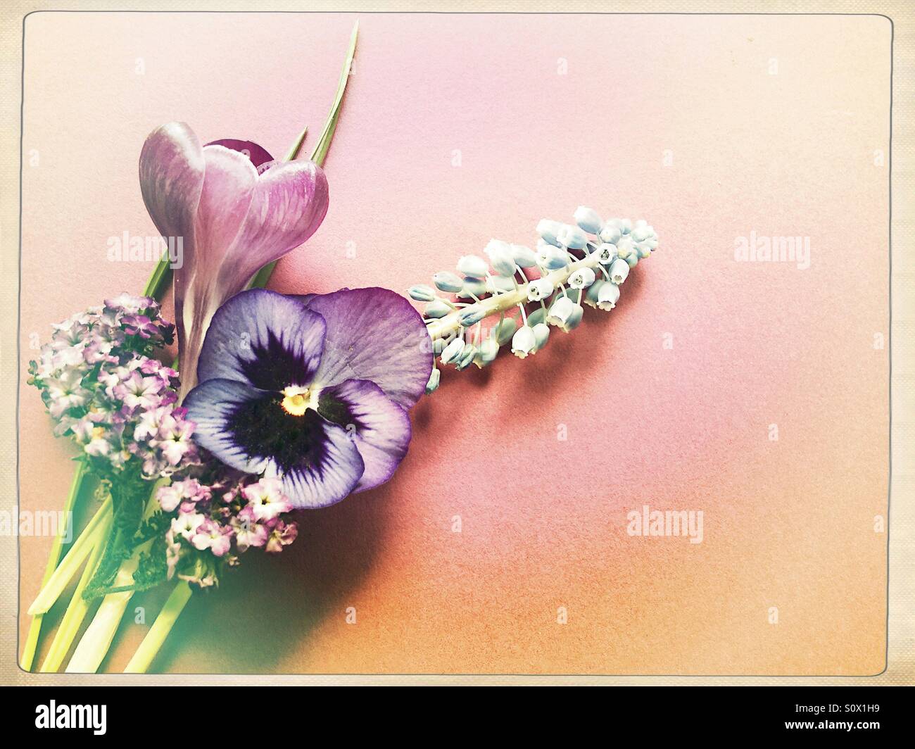 Spring flowers with copy space Stock Photo - Alamy