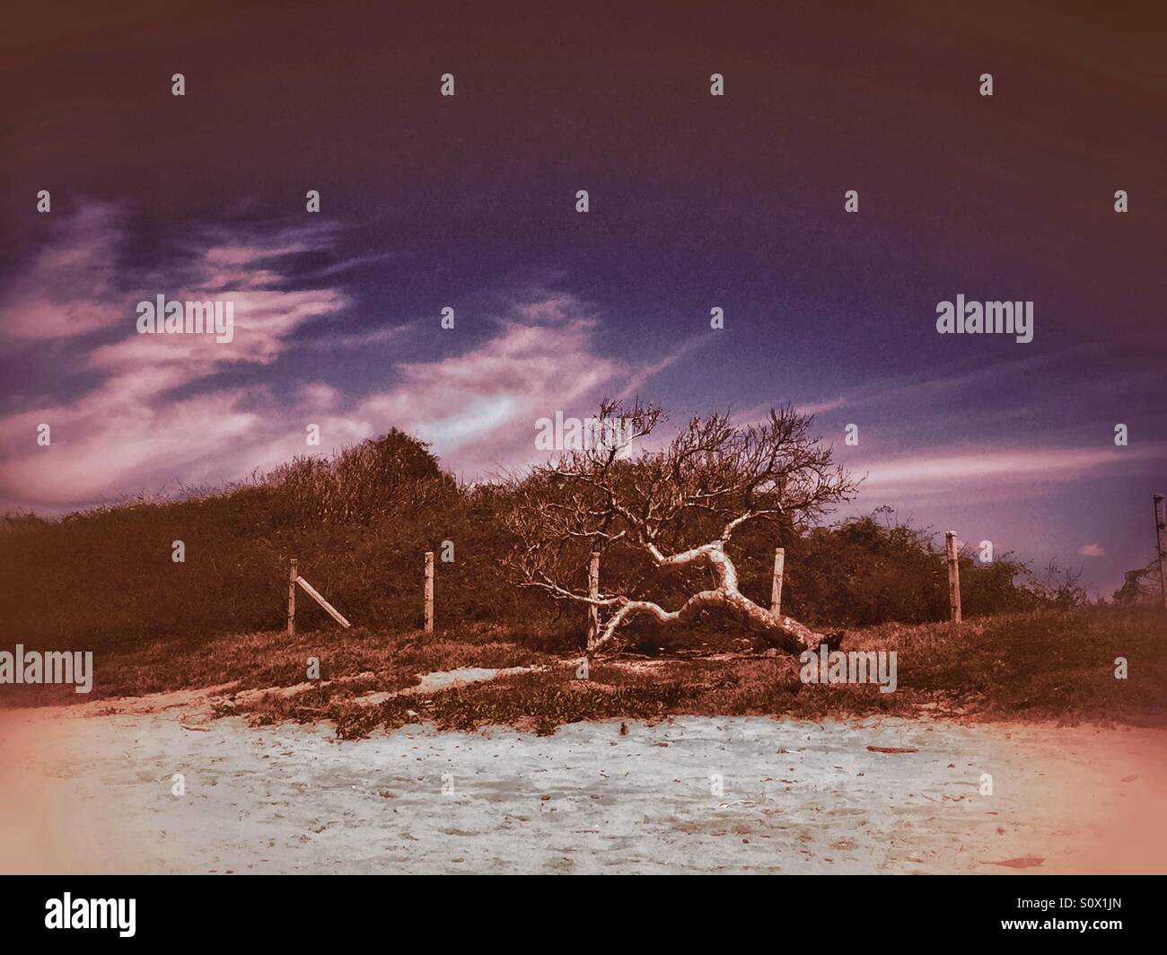 Firmly growing hi-res stock photography and images - Alamy