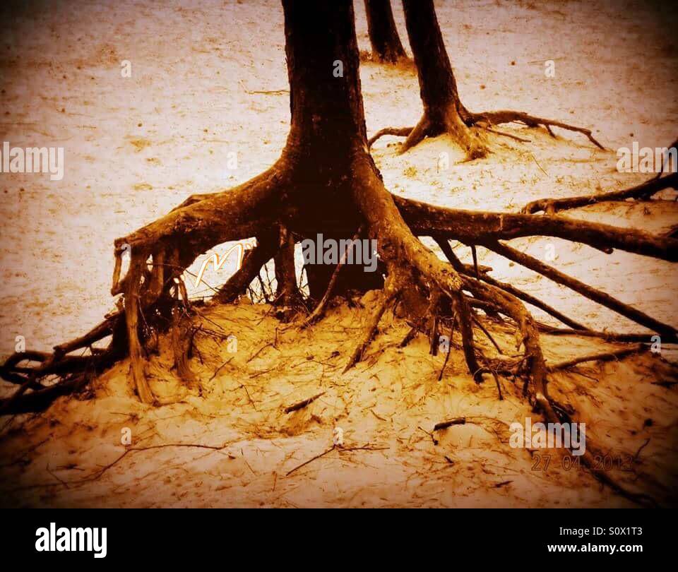 Ritu High Resolution Stock Photography and Images - Alamy