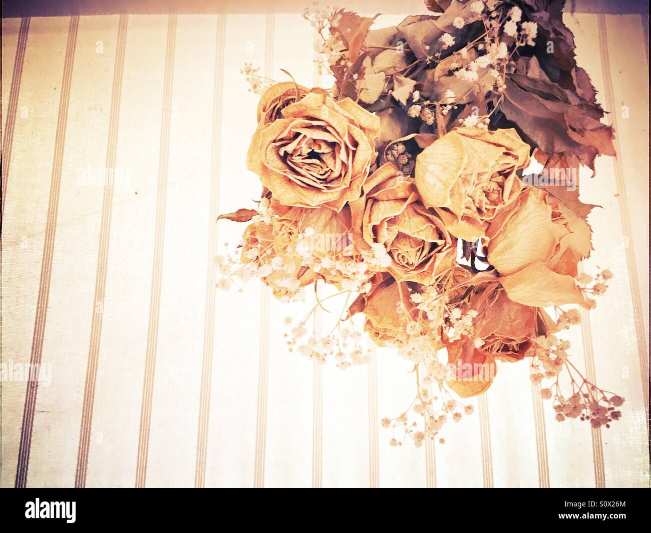 Dried yellow roses Stock Photo - Alamy