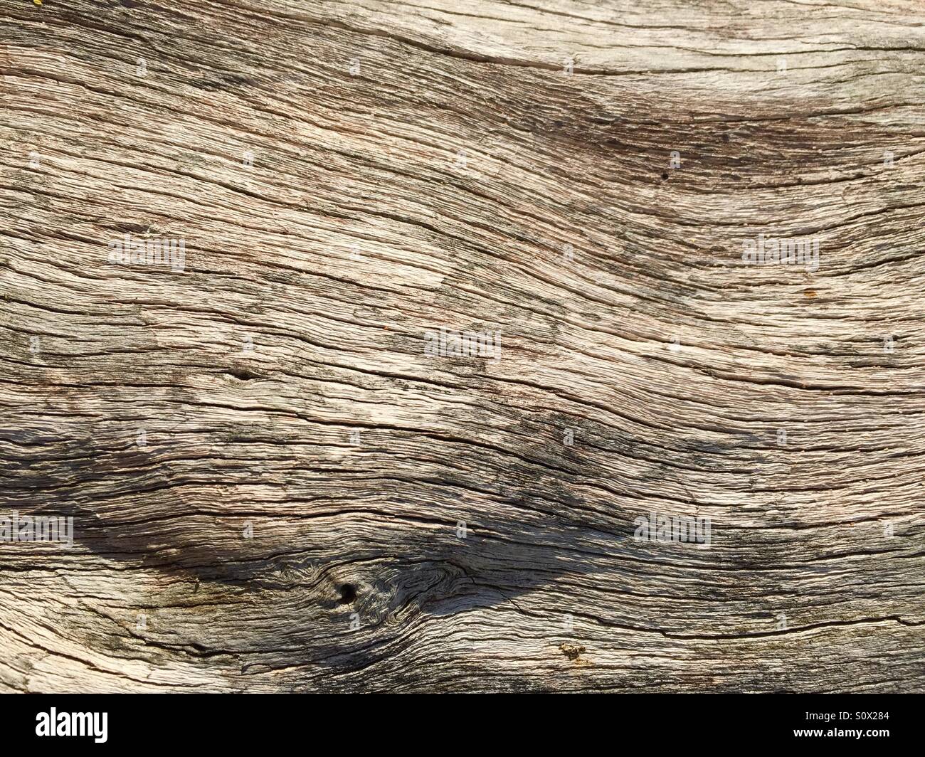 weathered pine wood South Florida, Feb. 2016 Stock Photo - Alamy