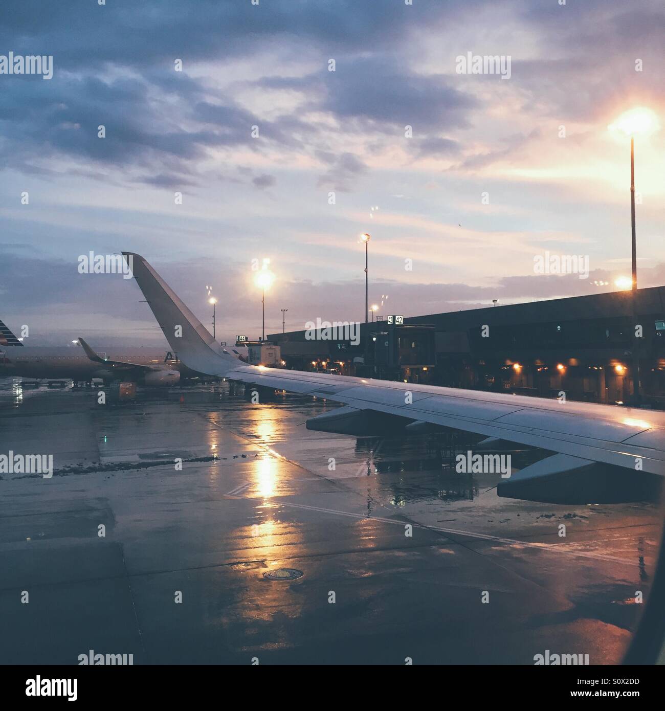 Morning fly hi-res stock photography and images - Alamy