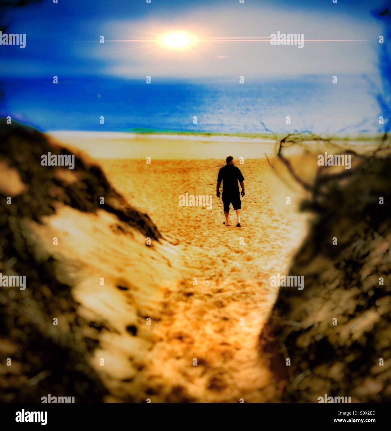 Walk in the sun Stock Photo - Alamy