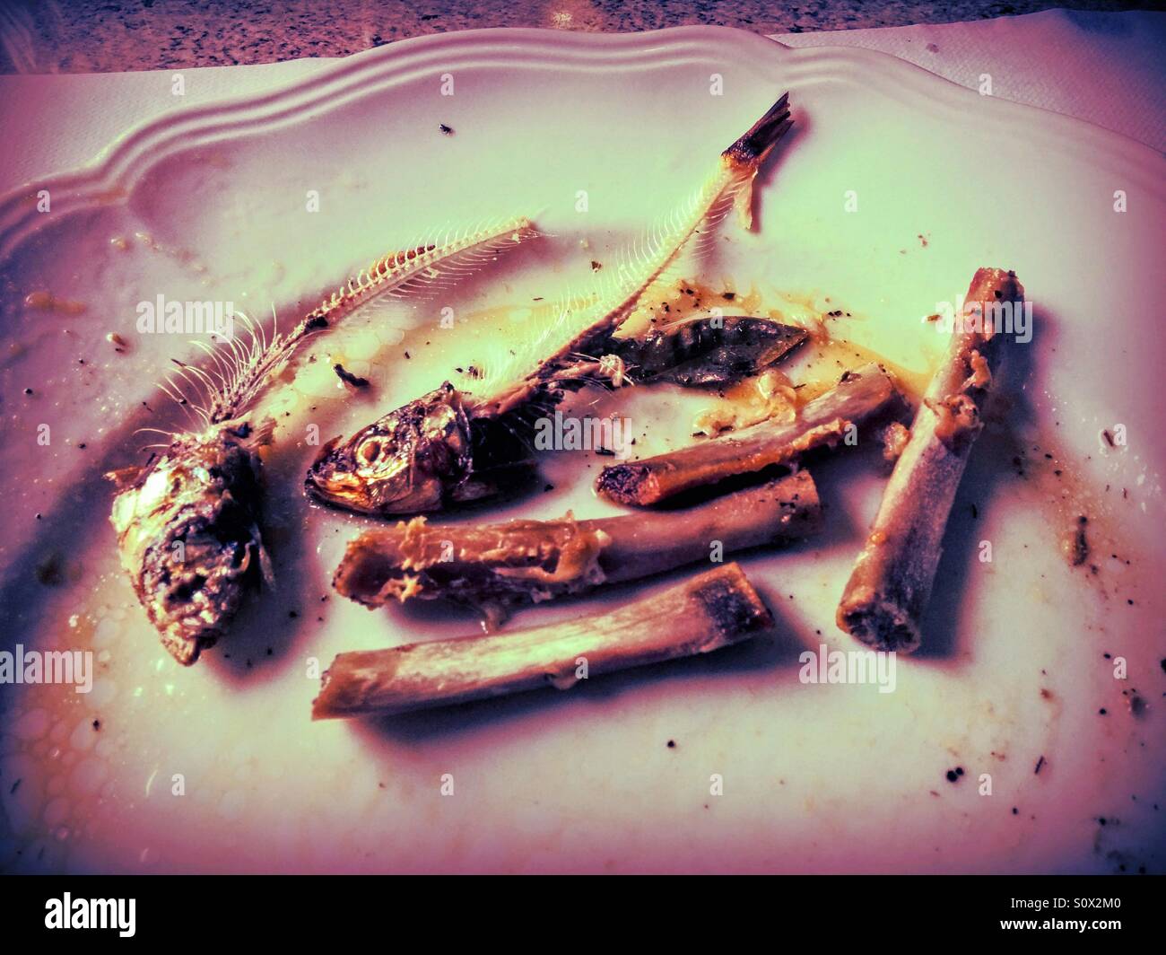 Bone Fishes High Resolution Stock Photography and Images - Alamy