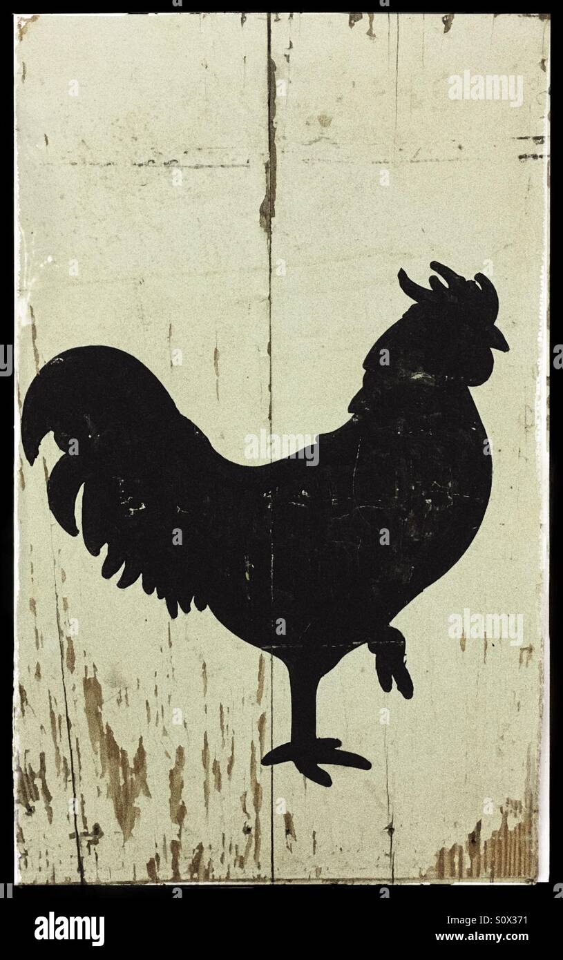 Old rooster hi-res stock photography and images - Alamy