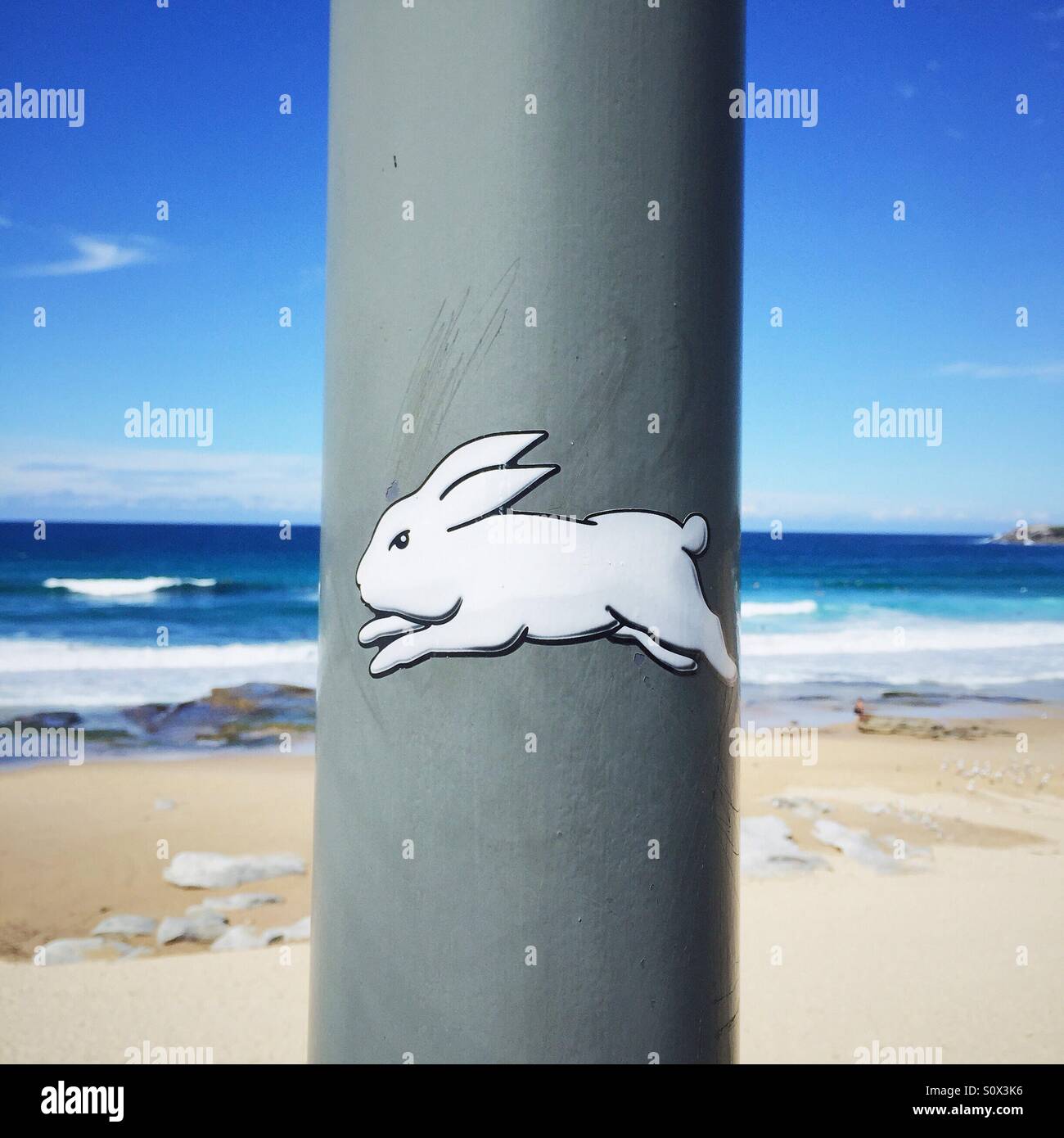 Beach bunny hi-res stock photography and images - Alamy