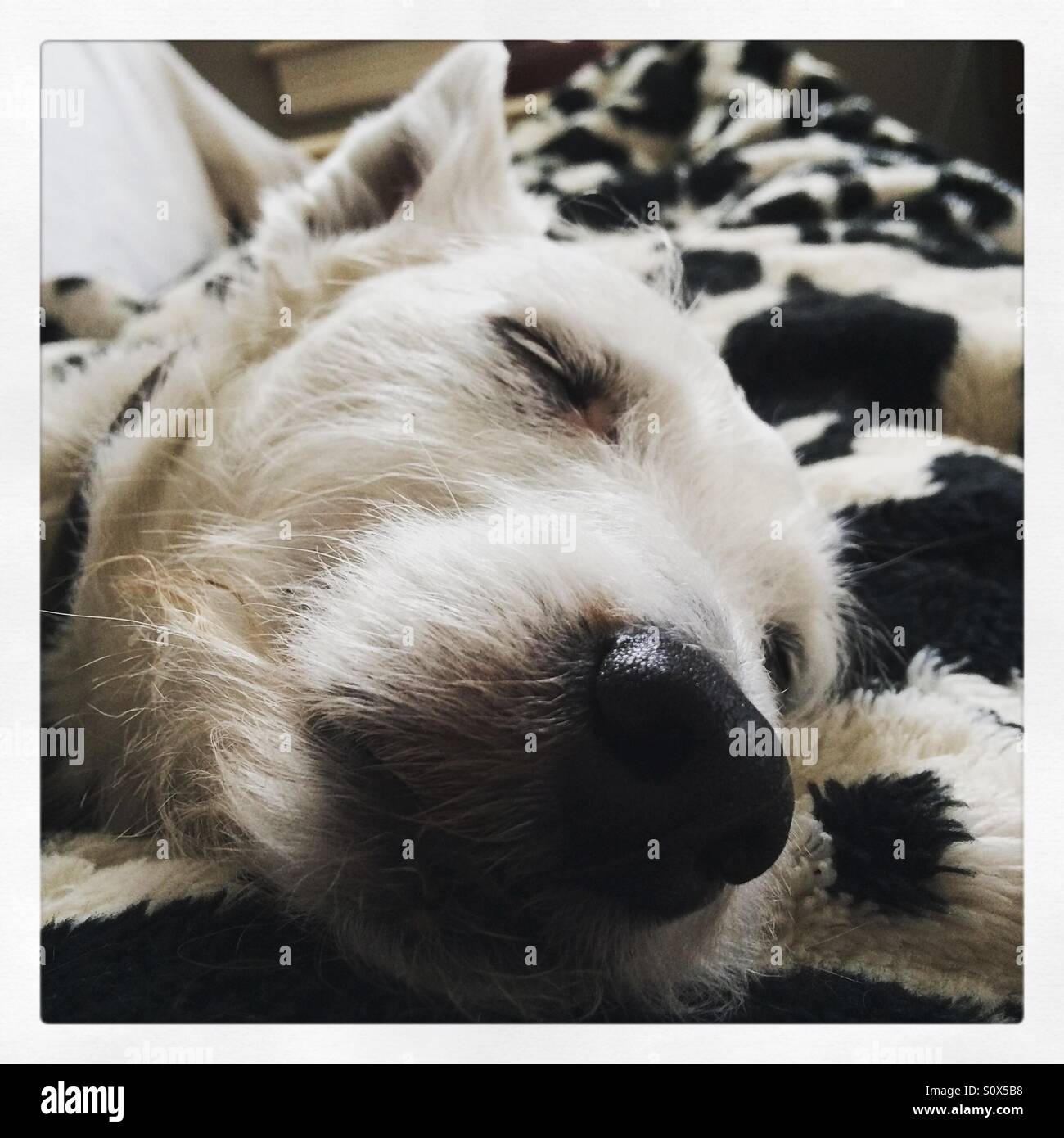 Deep Sleep High Resolution Stock Photography and Images - Alamy