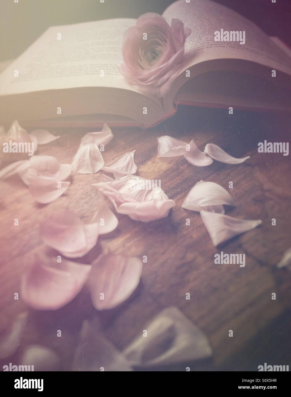 Romantic novel hi-res stock photography and images - Alamy