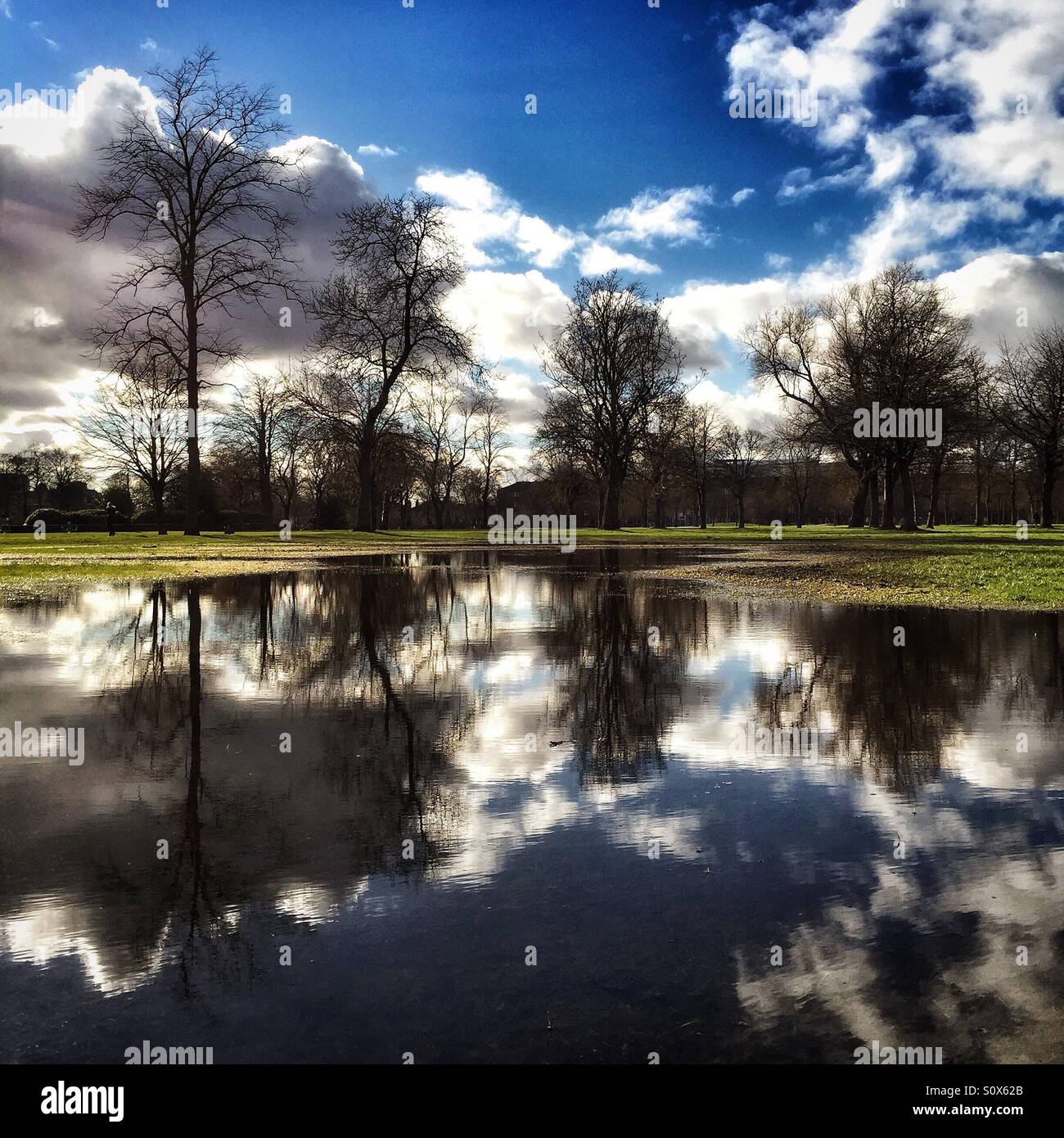 Reflections in rain water hi-res stock photography and images - Alamy