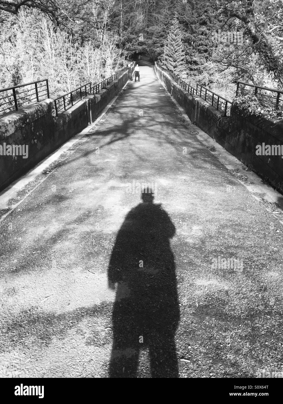 Shadows on a path Stock Photo - Alamy