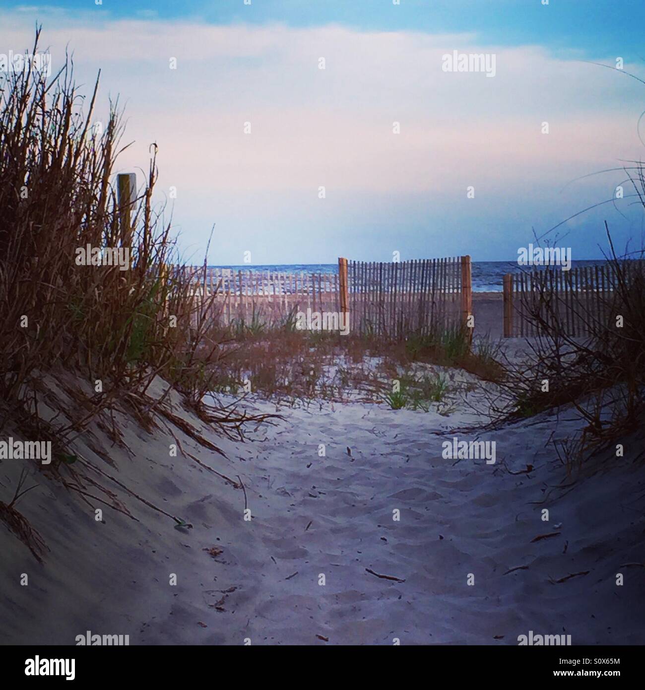 Folly beach sc hi-res stock photography and images - Alamy